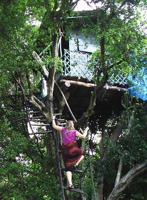 Tree House in Chinnar| Kerala Geographic Adventures